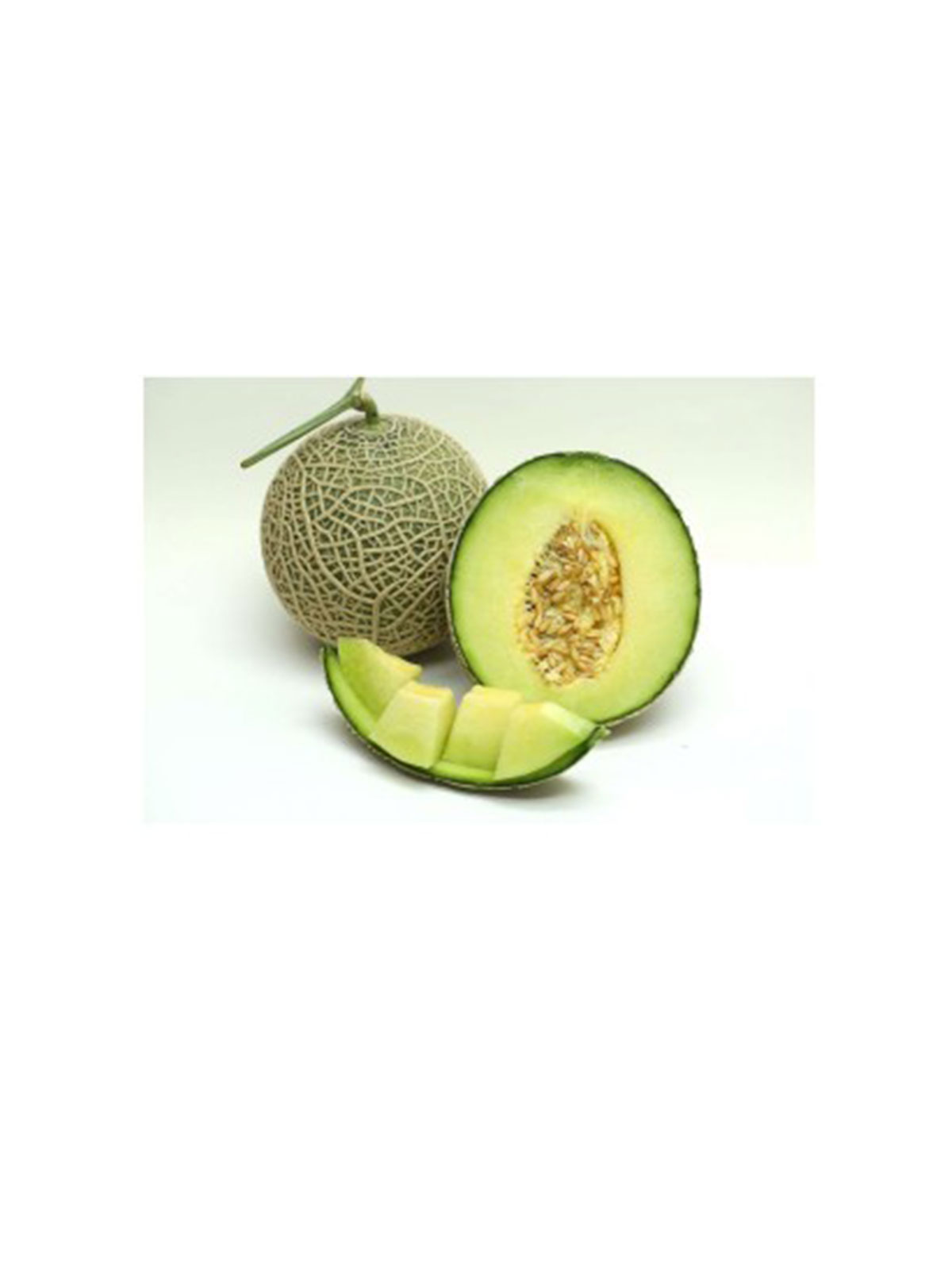 Musk melon – KFood Fair 2022